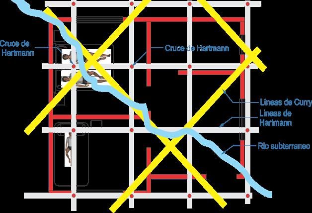 Entorno – Todo Salud